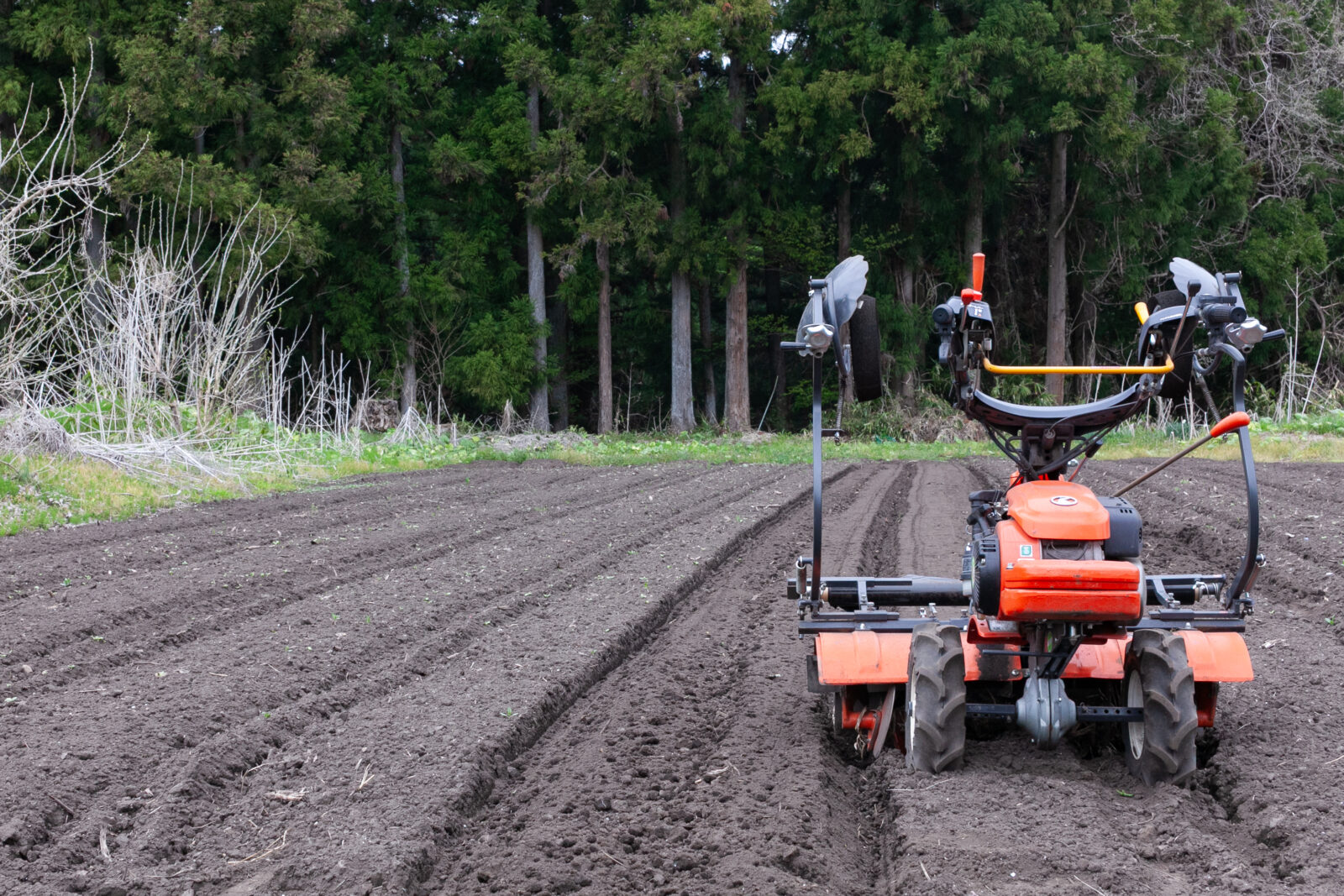 「自給する美しさ」を、群馬・みなかみから。ひまわり畑から始まる、未来のものづくり。 ｜ SPECIAL REPORT〈vol.1〉 - OSAJI JOURNAL | 公式サイト
