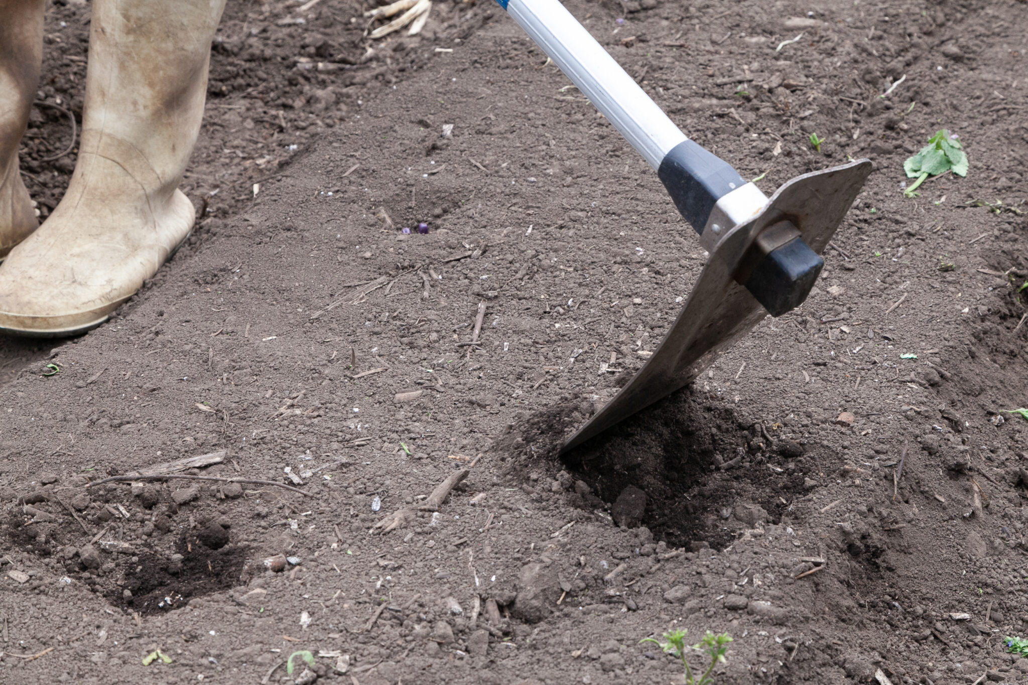 「自給する美しさ」を、群馬・みなかみから。ひまわり畑から始まる、未来のものづくり。 ｜ SPECIAL REPORT〈vol.1〉 - OSAJI JOURNAL | 公式サイト